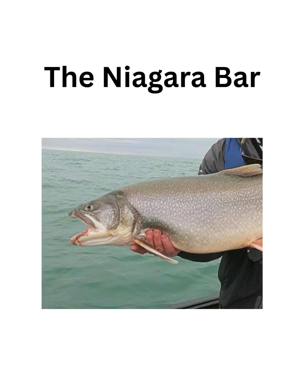 The Niagara Bar In Winter – Grimsby Tackle